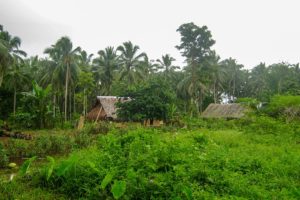 Millennium Cave in Vanuatu: exploring in the dark | Atlas & Boots