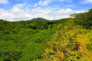 Natural wonders of Samoa: 5 unmissable sights | Atlas & Boots