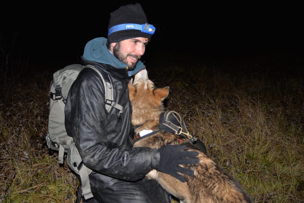 A night’s tail: Aurora husky hike in Norway | Atlas & Boots