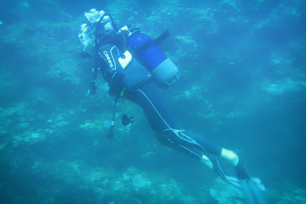 Diving at Blue Bay in Mauritius | Atlas & Boots