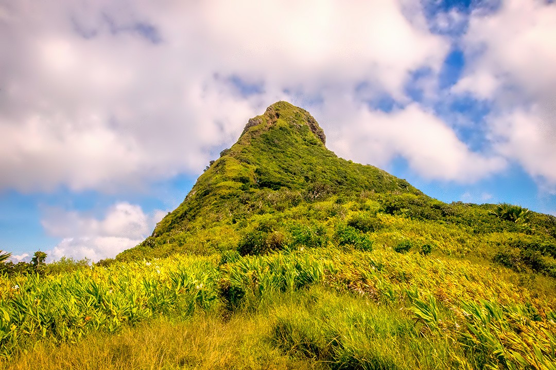 Hiking Le Pouce (The Thumb) in Mauritius | Atlas & Boots