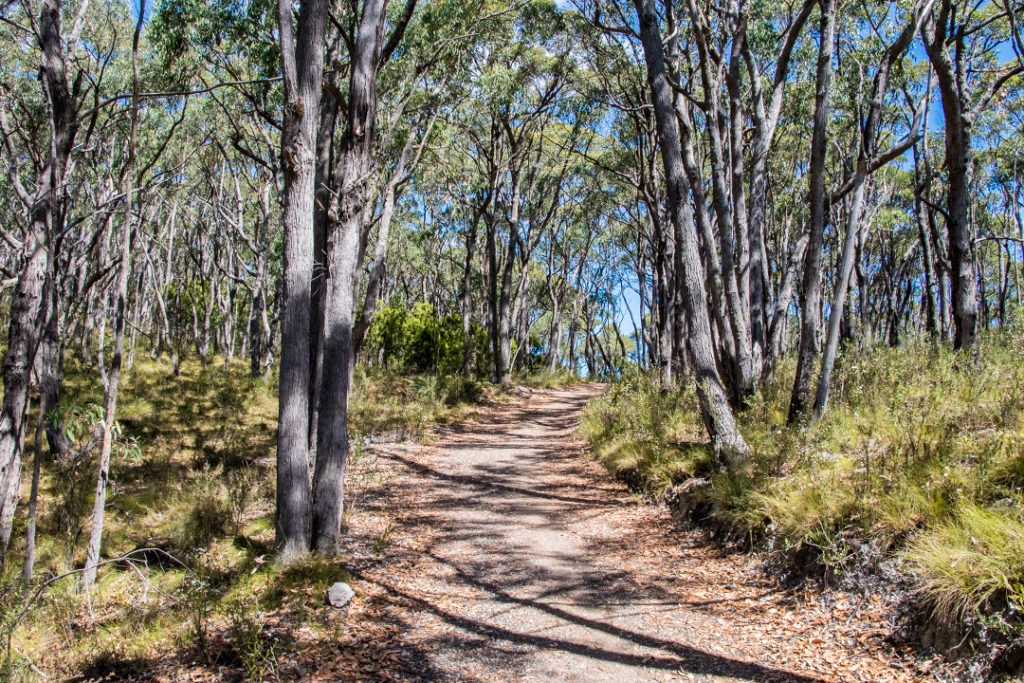 Mount Lofty walking trails: six routes to the summit | Atlas & Boots