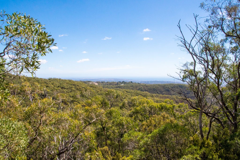 Mount Lofty walking trails: six routes to the summit | Atlas & Boots