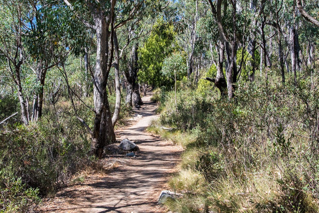 Mount Lofty walking trails: six routes to the summit | Atlas & Boots