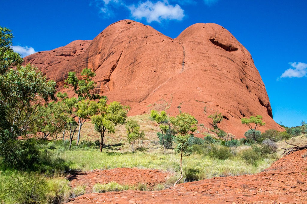 Uluru Rock Tour: that time we camped in the outback