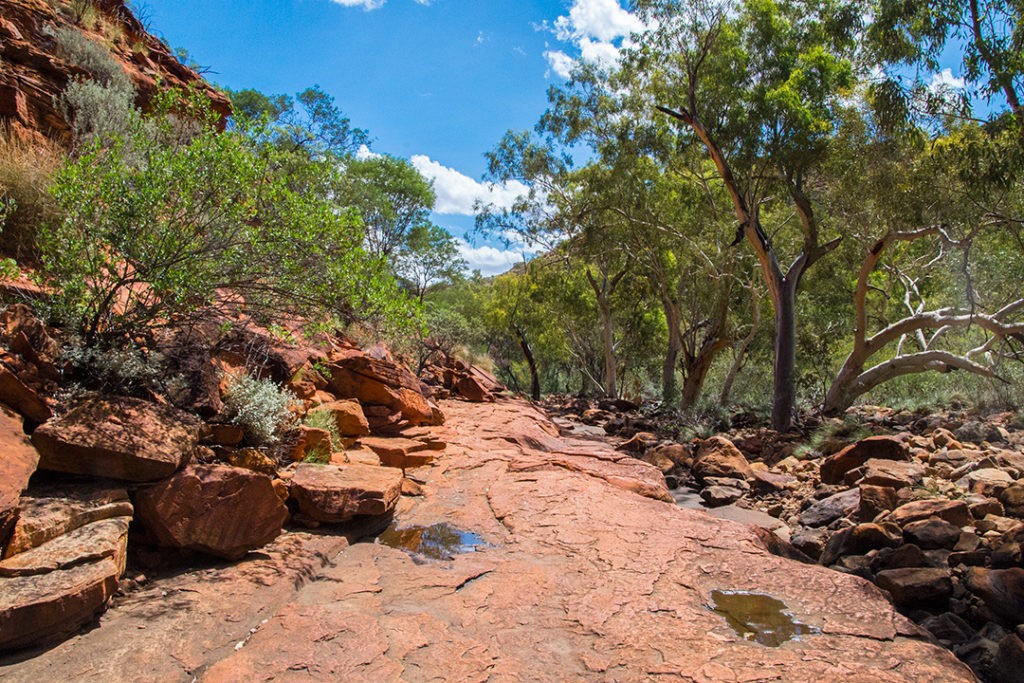 Uluru Rock Tour: that time we camped in the outback