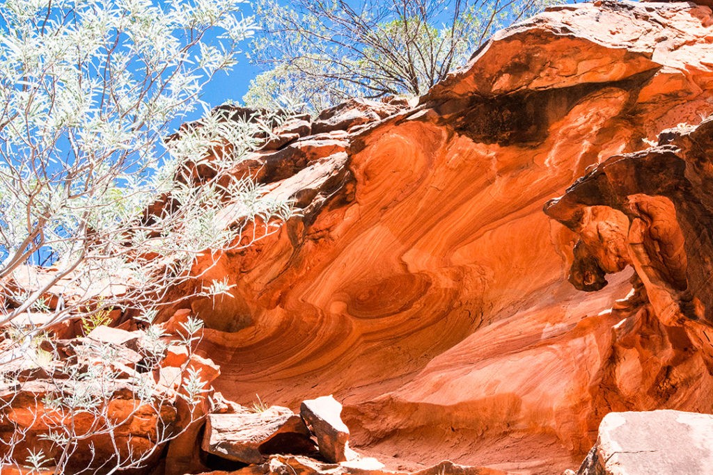 Uluru Rock Tour: that time we camped in the outback