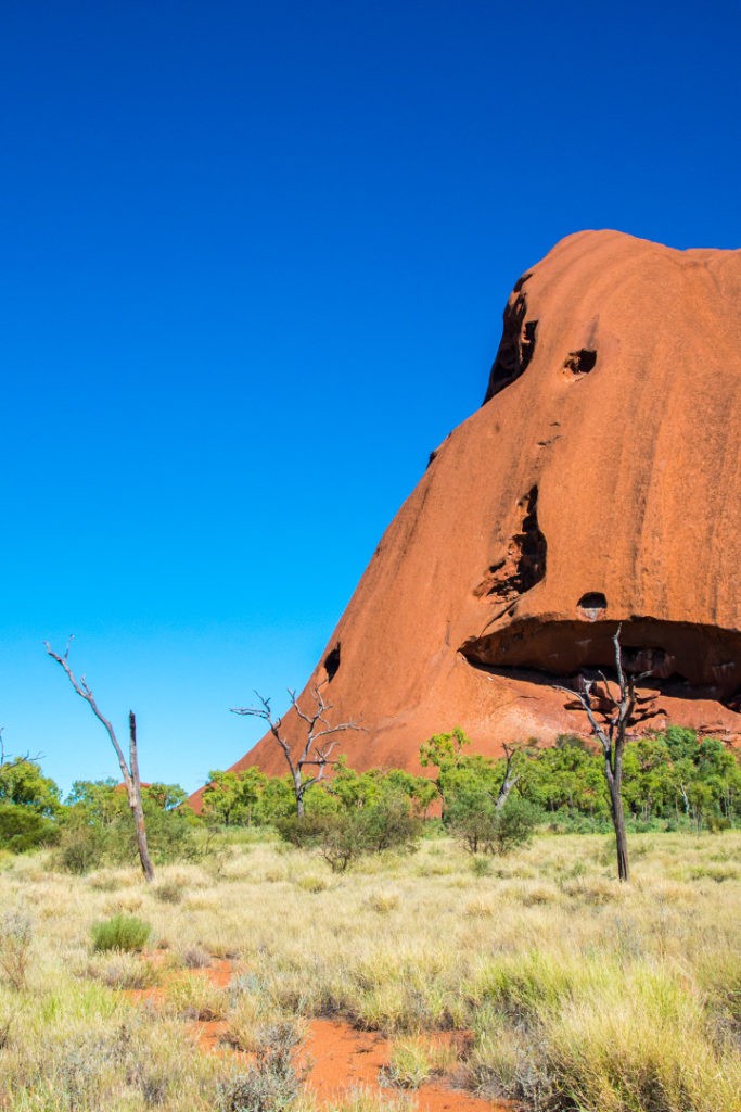 Uluru Rock Tour: that time we camped in the outback