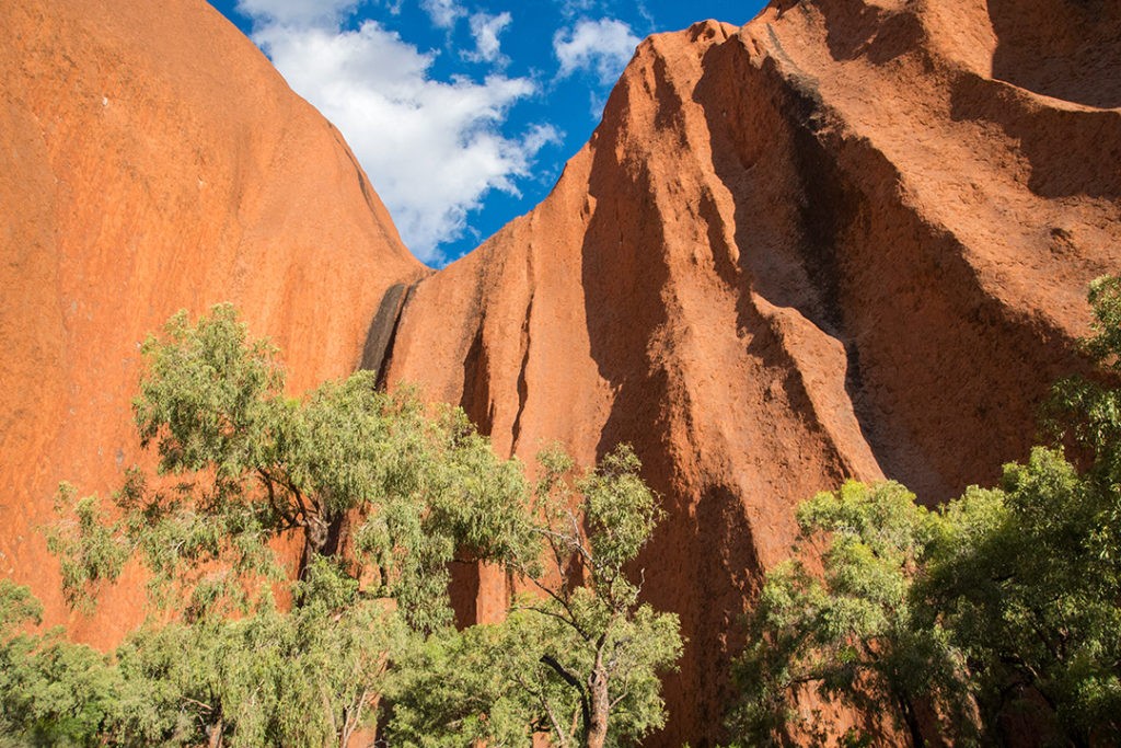 Uluru Rock Tour: that time we camped in the outback
