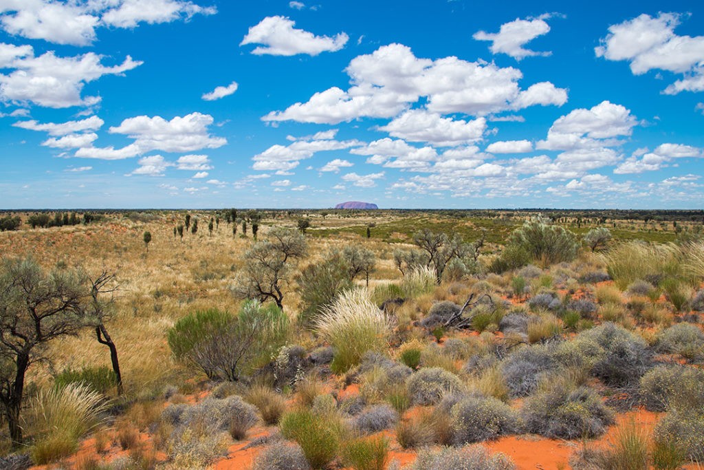 Uluru Rock Tour: that time we camped in the outback