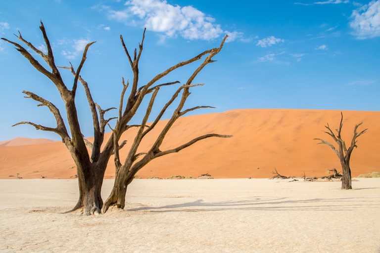 23 interesting facts about Namibia | Atlas & Boots
