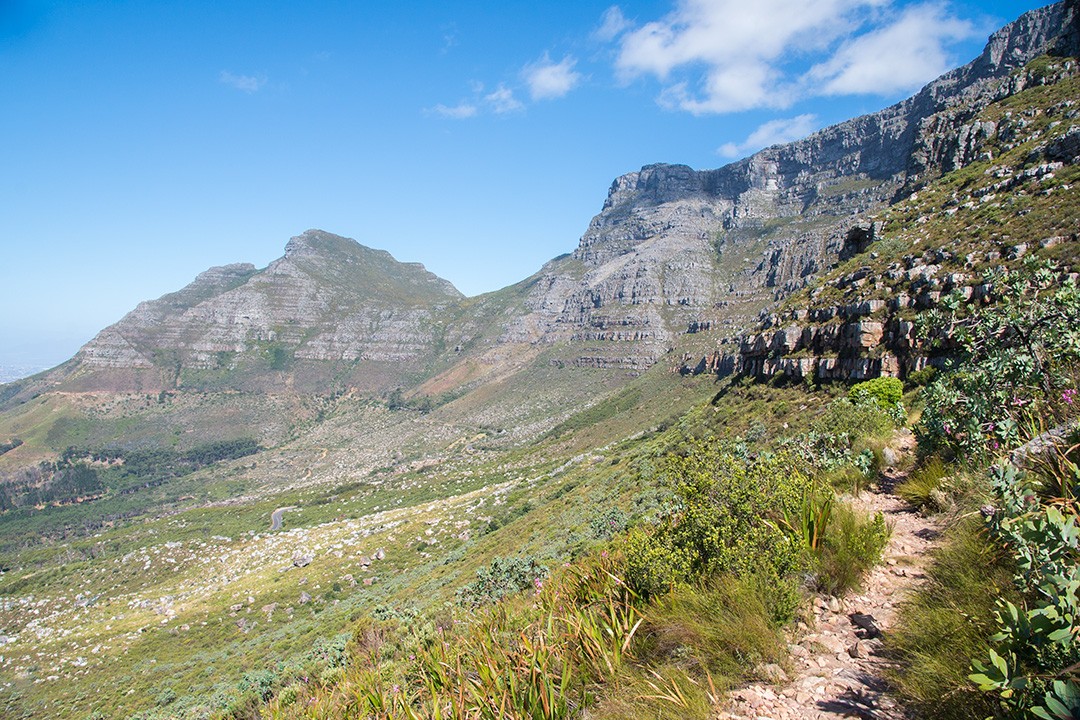 Hiking Table Mountain: 10 tips to get you to the top | Atlas & Boots