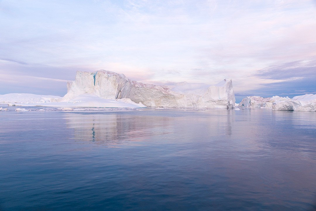 20 interesting facts about the Arctic | Atlas & Boots