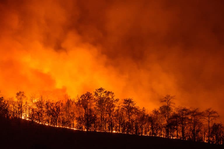 How to escape a wildfire: a hiker's guide | Atlas & Boots