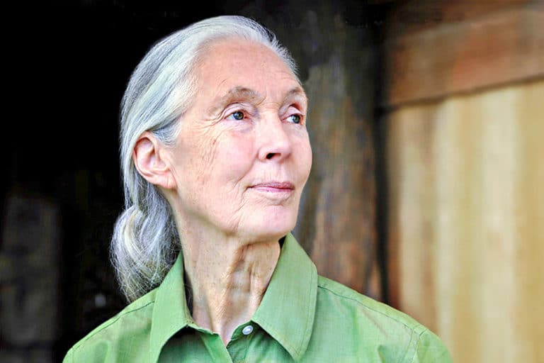 Stewards of the wild: 10 famous environmentalists that give us hope ...