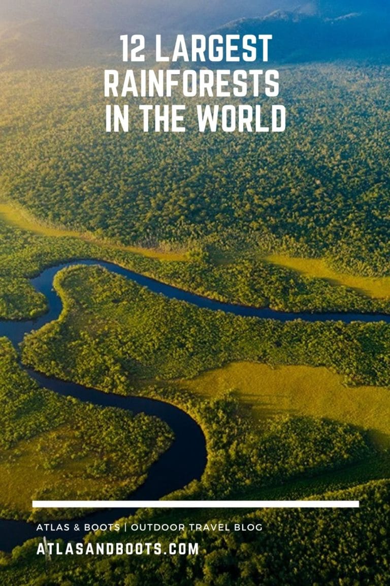 12 largest rainforests in the world and where to find them | Atlas & Boots