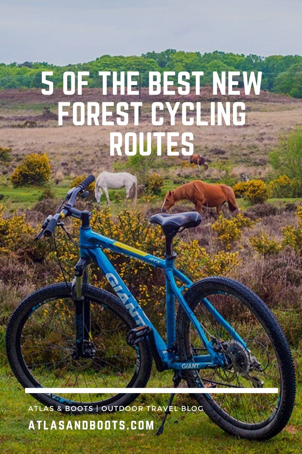 5 of the best New Forest cycling routes | Atlas & Boots