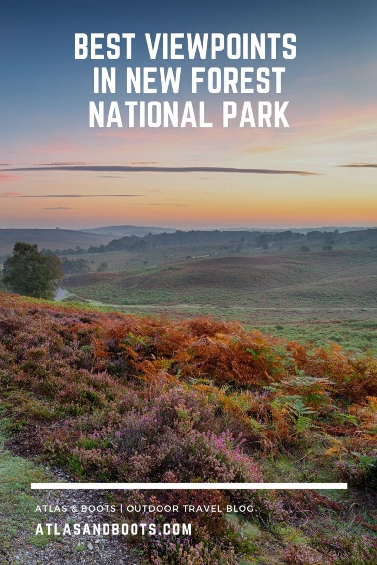 Best viewpoints in New Forest National Park | Atlas & Boots