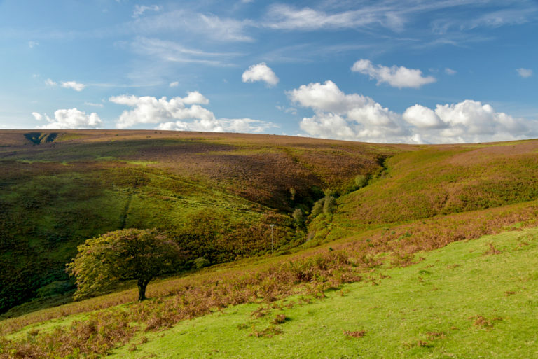 10 best hikes in Exmoor National Park | Atlas & Boots