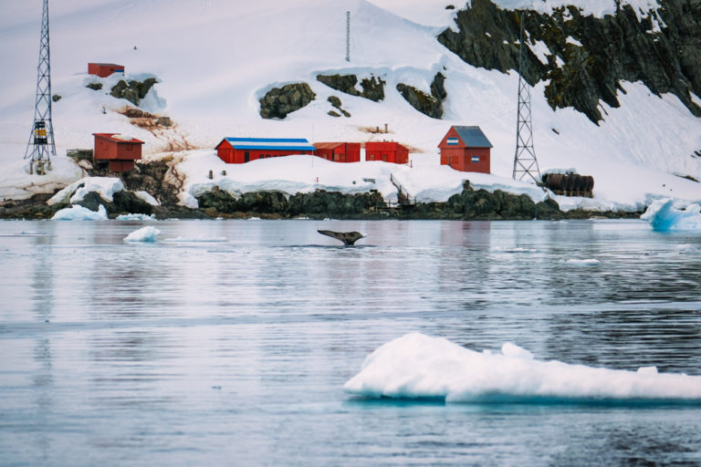 In photos: 22 reasons to visit Antarctica | Atlas & Boots