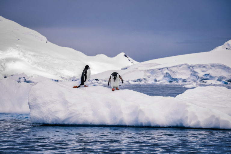 38 best books about Antarctica: updated for 2025 | Atlas & Boots