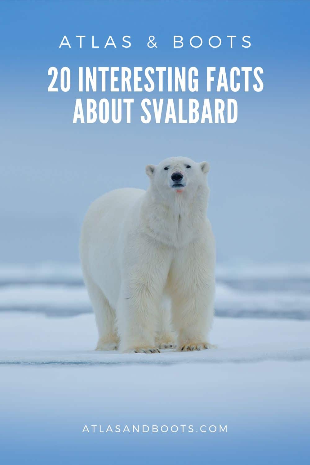20 interesting facts about Svalbard | Atlas & Boots