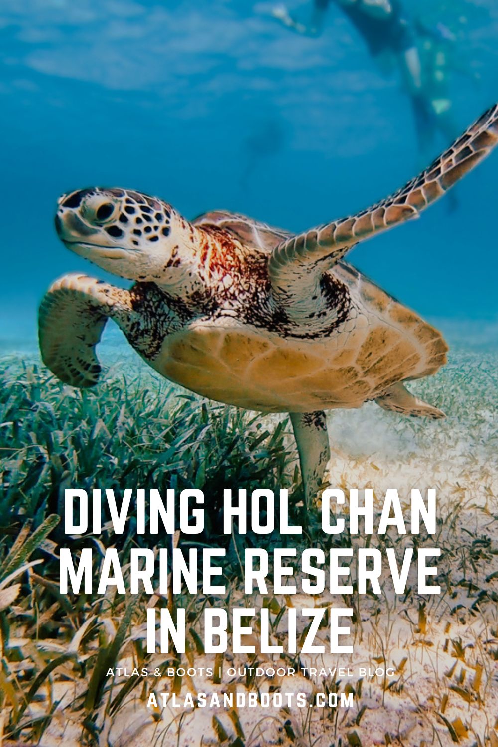 Diving Hol Chan Marine Reserve in Belize | Atlas & Boots