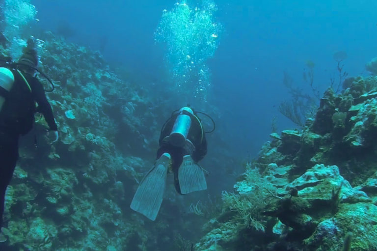 Best dive sites in Belize: our top 8 picks | Atlas & Boots