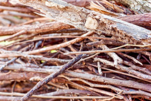 How to build a campfire: a step-by-step guide | Atlas & Boots